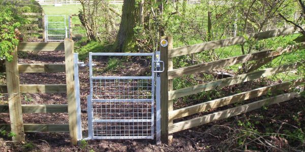 Pedestrian and Mobility Access Gates Archives - Centrewire